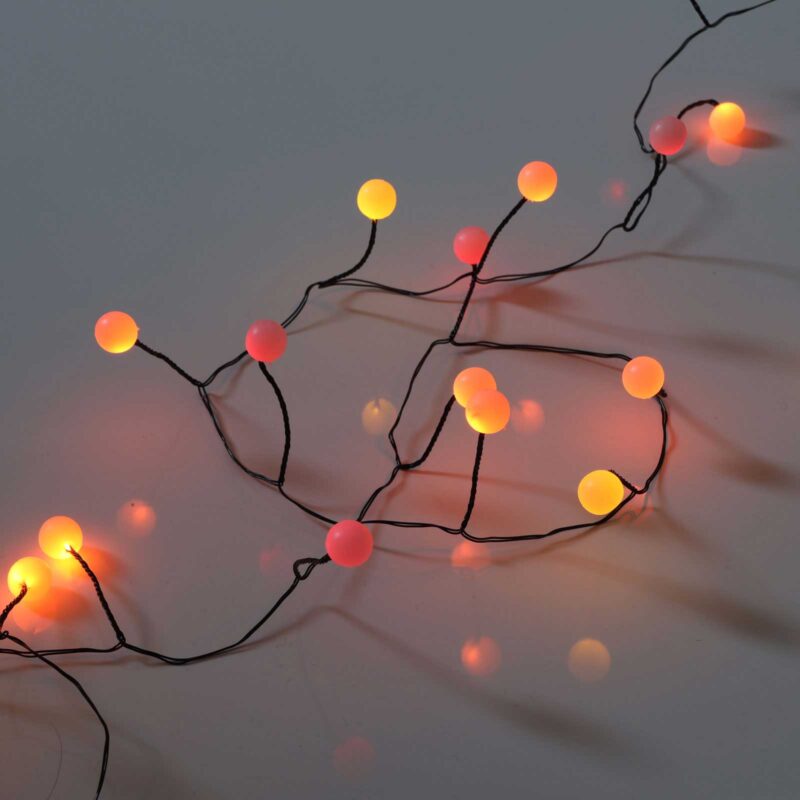 Sunset® Berry Cluster Lights on Black Wire. 40 LEDs, a combination of ...