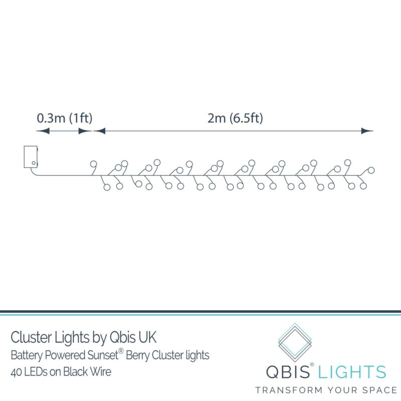Sunset® Berry Cluster Lights on Black Wire. 40 LEDs, a combination of ...
