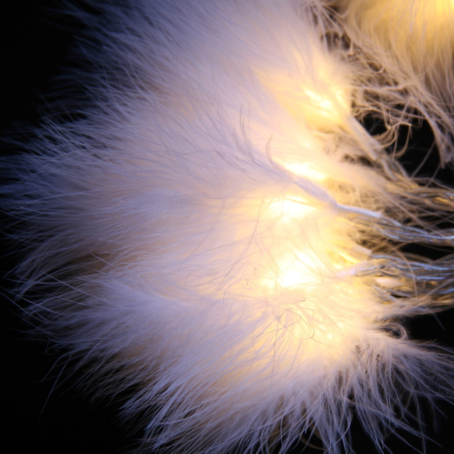 Feather Lights with Warm White LEDs. Battery Powered Fluffy Fairy ...